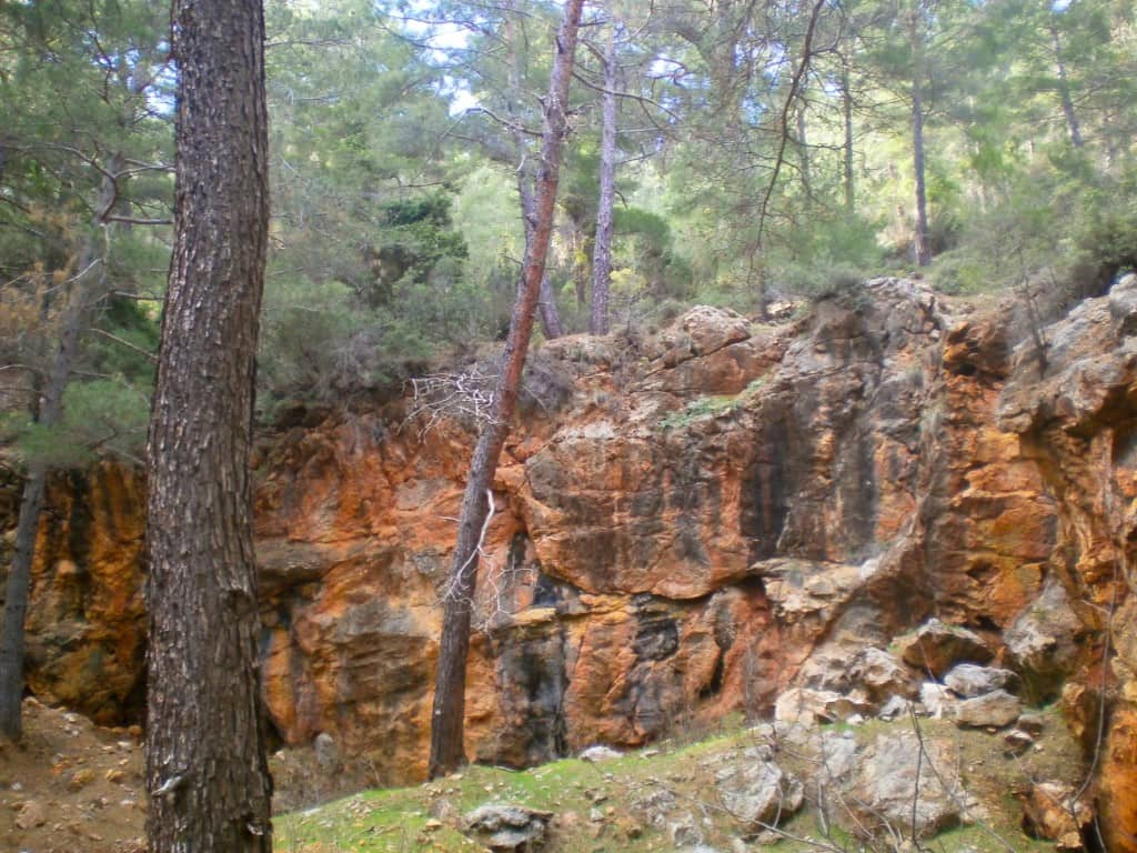 Chromite and Pine Forests - the closest I'll ever get to the Old Syria ... Chromite and Pine Forests - the closest I'll ever get to the Old Syria ...