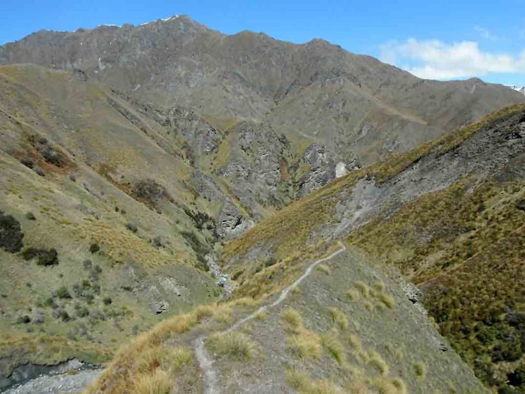 Once a Vast Forest - Motatapu Track, New Zealand - MikePole