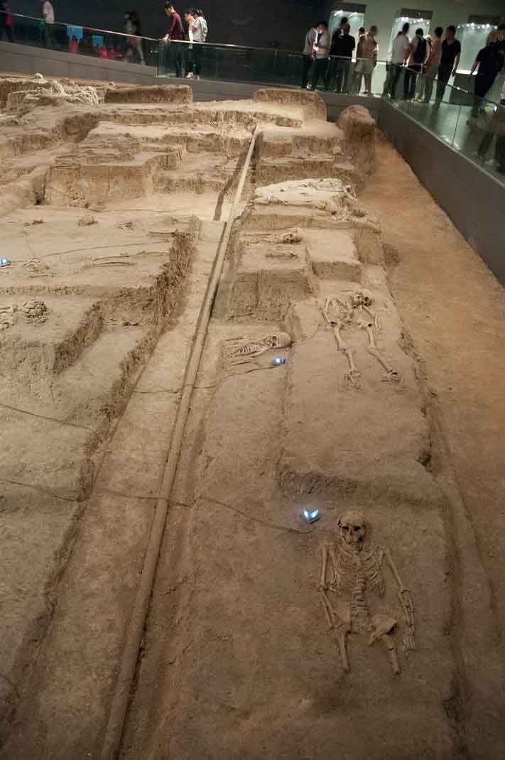 Skeleton-6 – MikePole