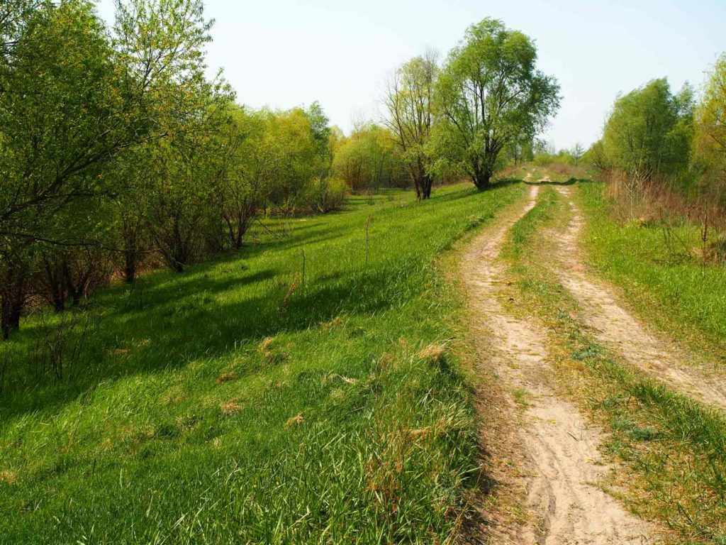 A Postcard from the Pripyat, Belarus - MikePole
