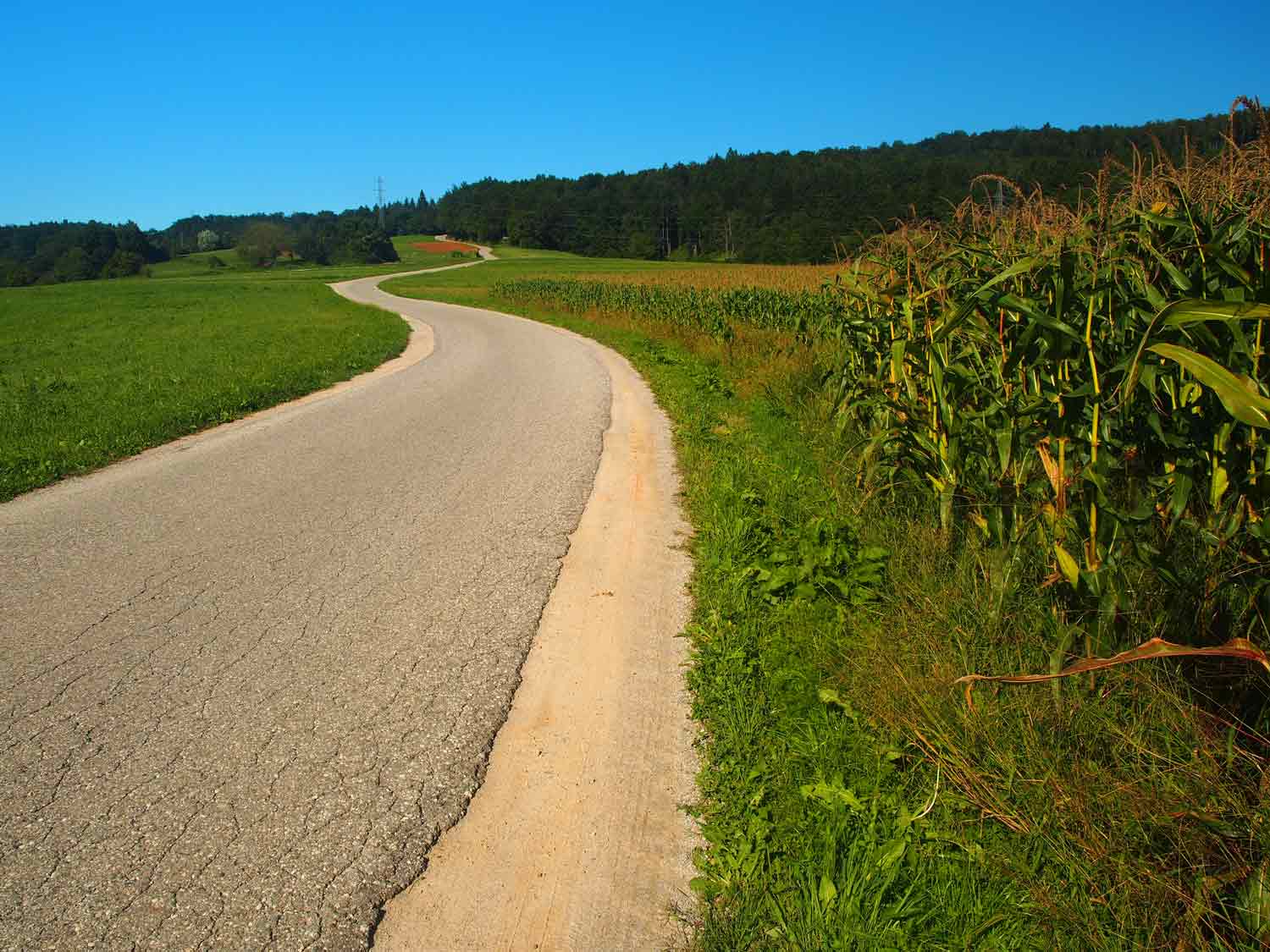 Left-fork - MikePole